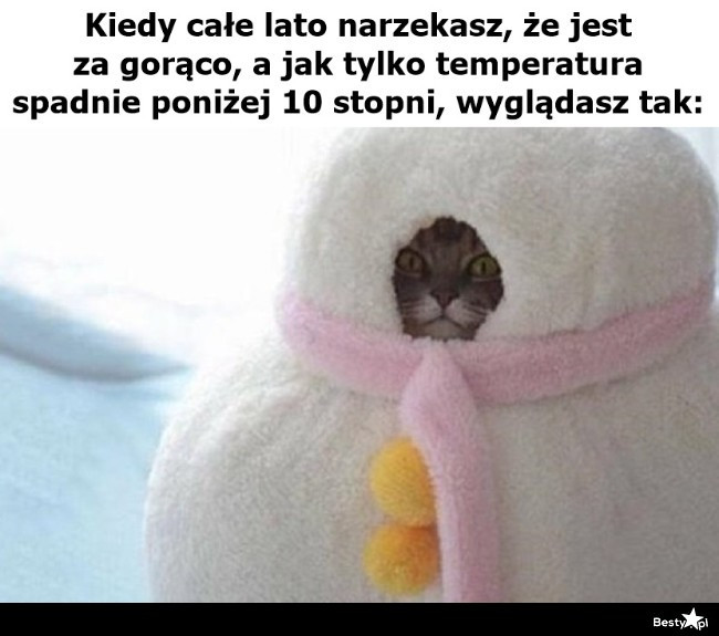 Jesień 2021. Zima nadchodzi, a internauci tworzą memy [ZDJĘCIA] - Kobieta