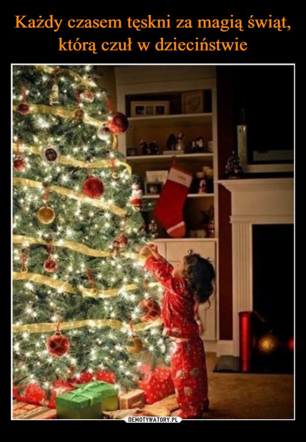 Najlepsze memy o choinkach. Te z kotami rozbawią was do łez - Kobieta