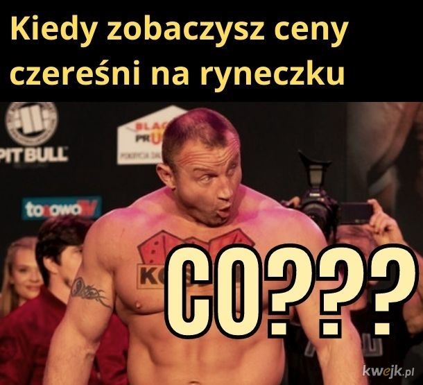 Mariusz Pudzianowski to ulubieniec internautów. Zebraliśmy najlepsze ...