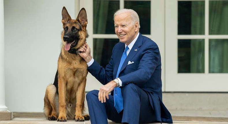 Biden's dog Commander bit multiple Secret Service agents, sending one ...