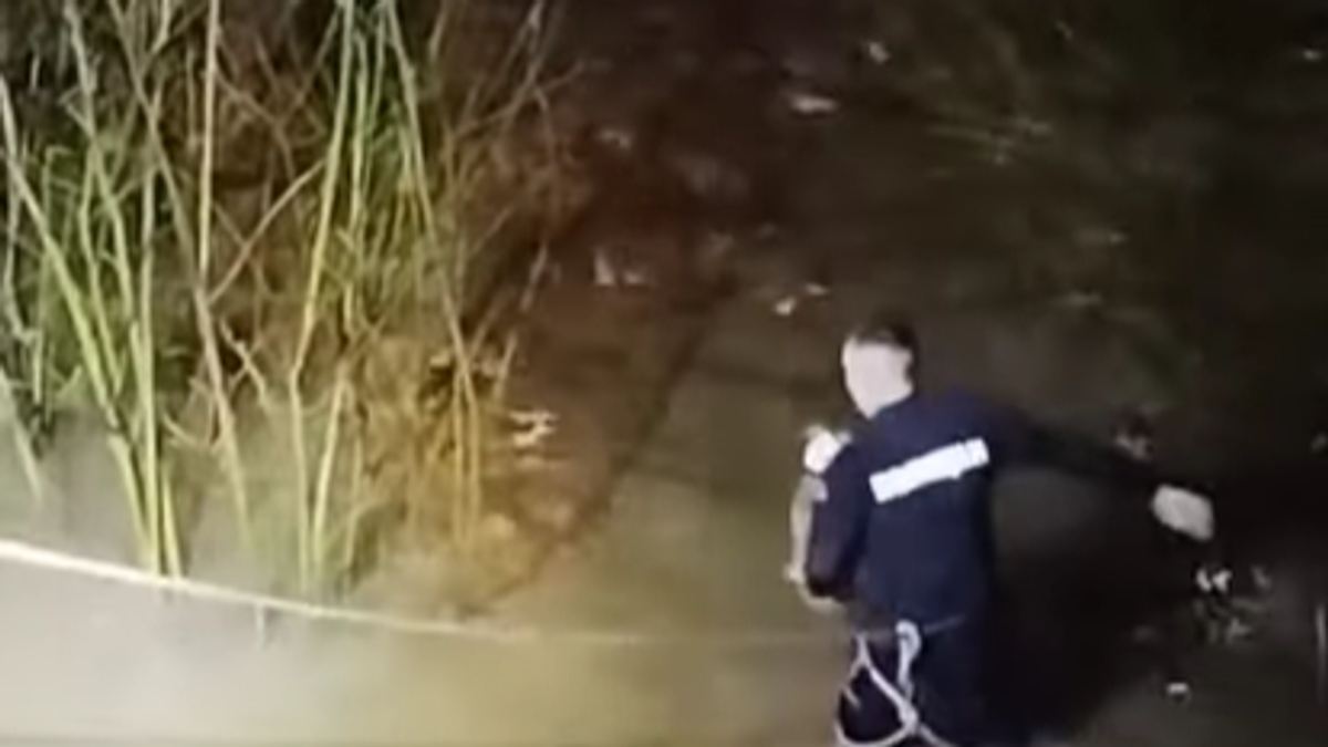 Drama na reci Đetinji: Vatrogasci spasioci herojskim činom spasili psa ...