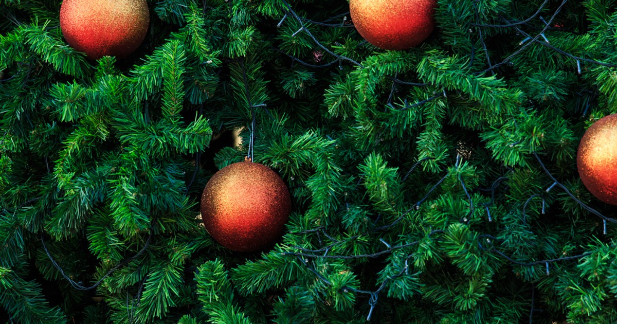 Bożonarodzeniowa choinka - symbol rajskiego drzewa - Wiadomości
