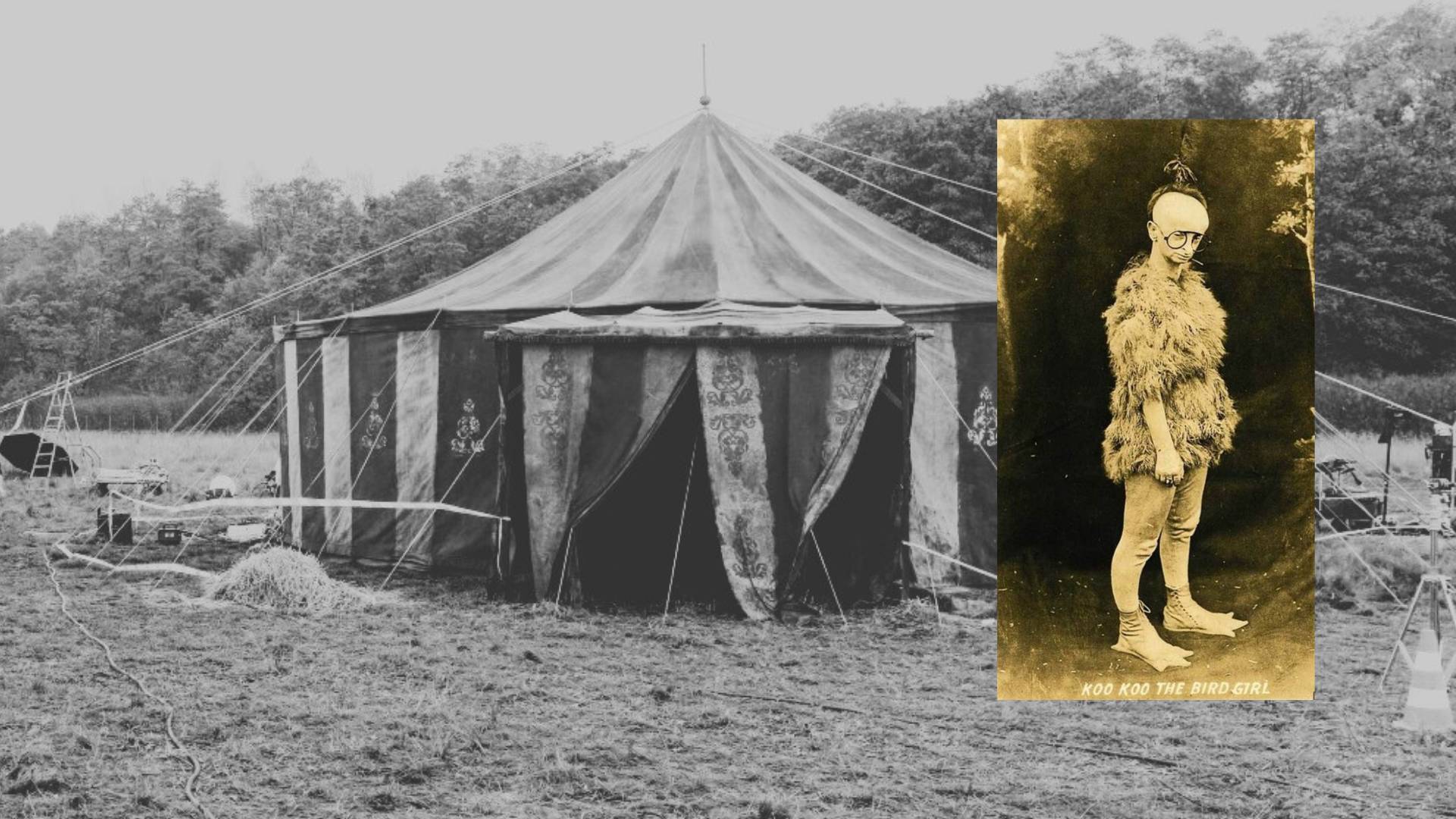 Zawód: Dziewczyna Ptak. Z cyrku trafiła do prawdziwego horroru - Noizz