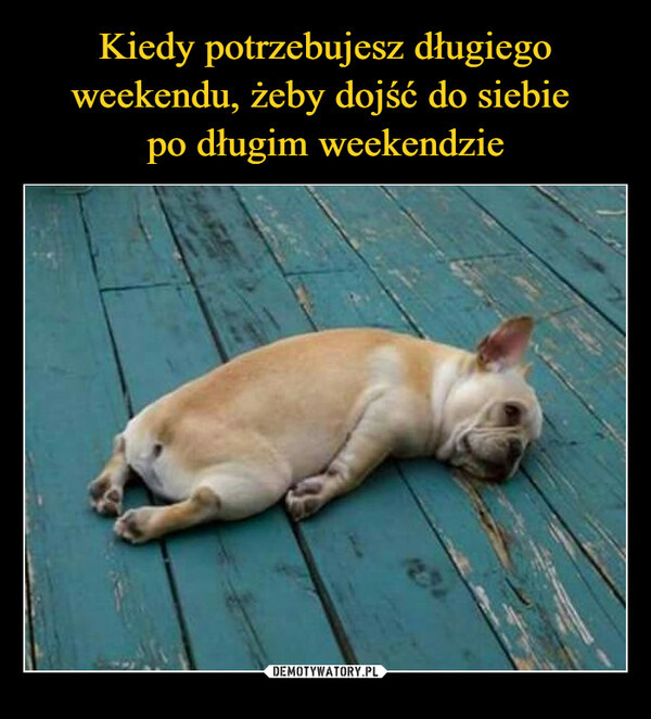 Międzynarodowy Dzień Odpoczynku Od Świętowania. Te memy rozbawią cię do ...
