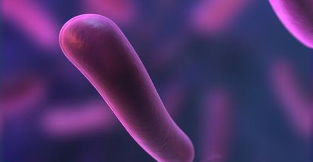 Leiszmania (Leishmania) - przyczyny, objawy, leczenie