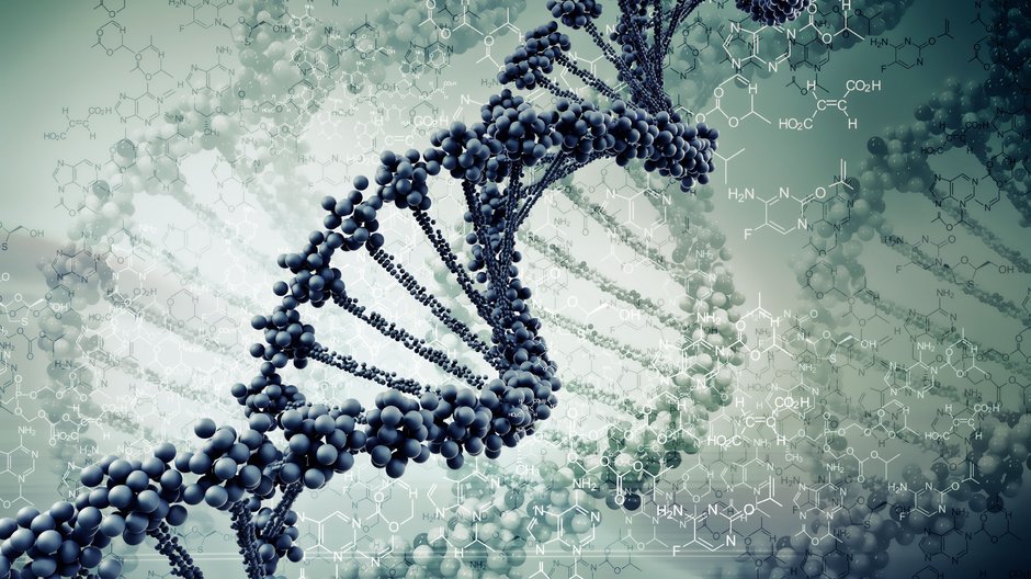 Pięć pokoleń w jednym grobowcu. Unikatowe badania ujawniają strukturę ...