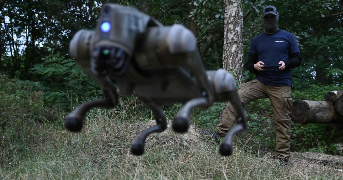 Ukraina rzuca na front psy-roboty. "Mają wiele talentów" | Newsweek