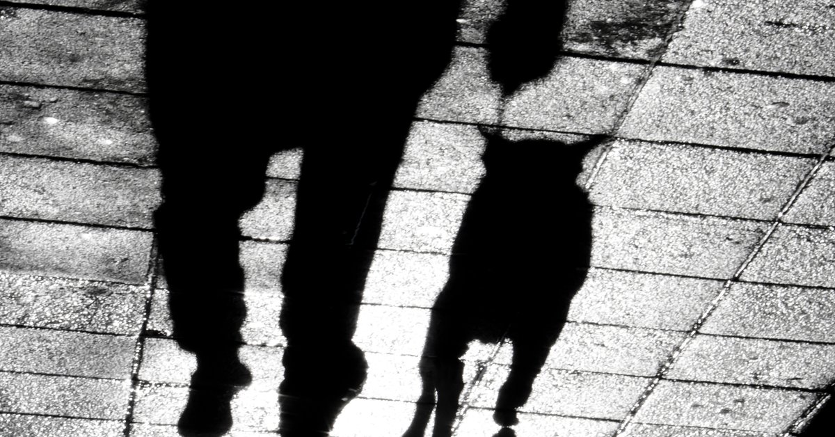 Starszy pan, pięć psów i… ludzki palec - Styl życia
