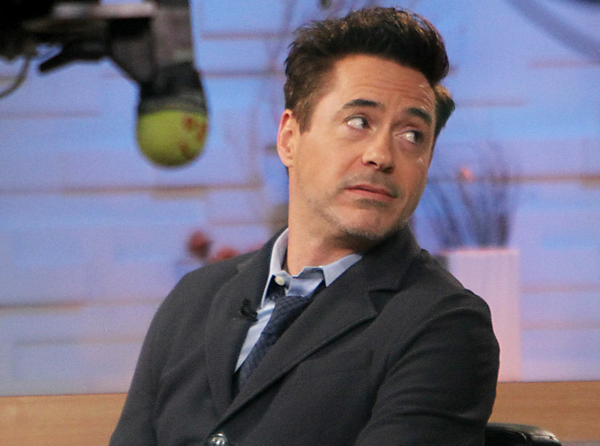 Robert Downey Jr. sam się wystruga - Dziennik.pl