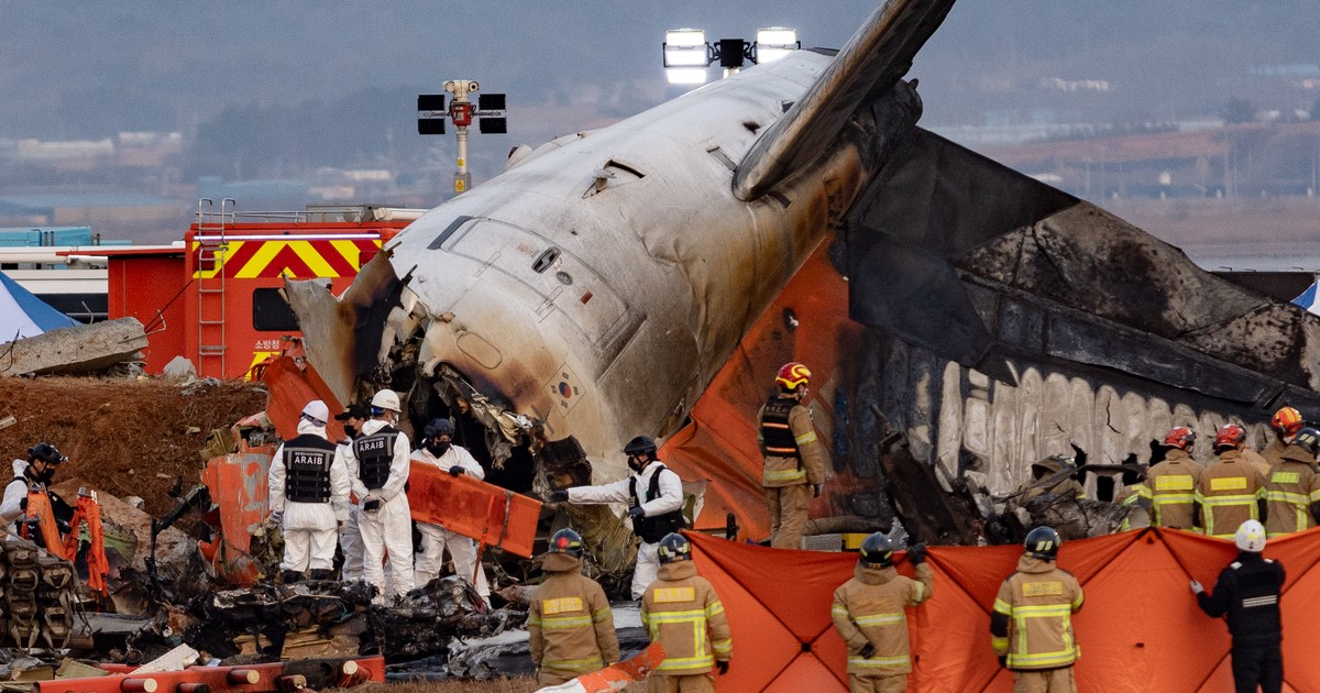 Katastrofa samolotu w Korei Płd. Eksperci wątpią w zderzenie z ptakiem jako przyczynę