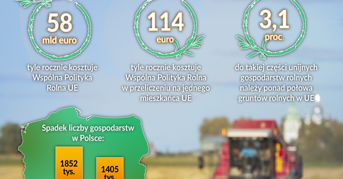 Uprzemysłowienie i chemizacja. Wspólna Polityka Rolna pcha unijne ...