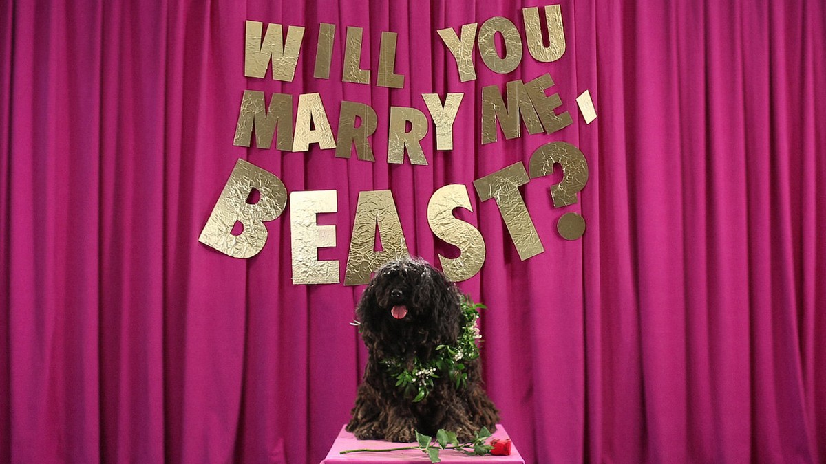 Tündéri: egy magyar puli Valentin-napon megkérte Mark Zuckerberg ...