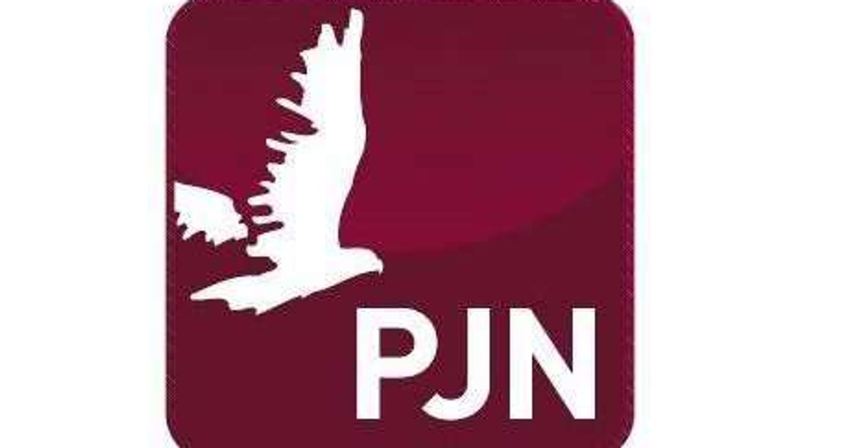 PJN zaprezentowała partyjne logo
