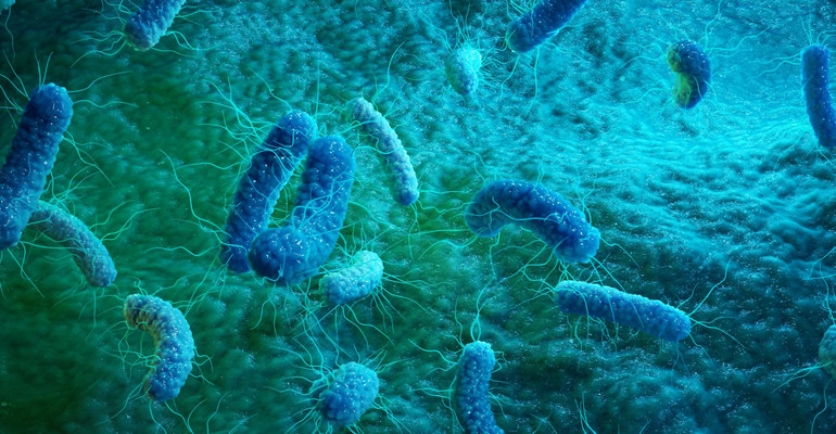 Posocznica - objawy, leczenie