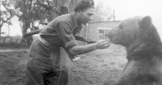 Słynny polski miś Wojtek będzie miał pomnik - Wiadomości