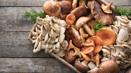 Maltoza - właściwości, występowanie, wpływ na zdrowie i zastosowanie ...