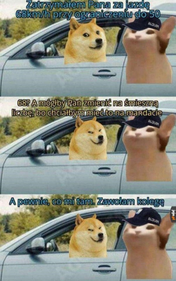 Pieseł (doge) nie żyje. Najzabawniejsze chwile psa, który podbił sieć