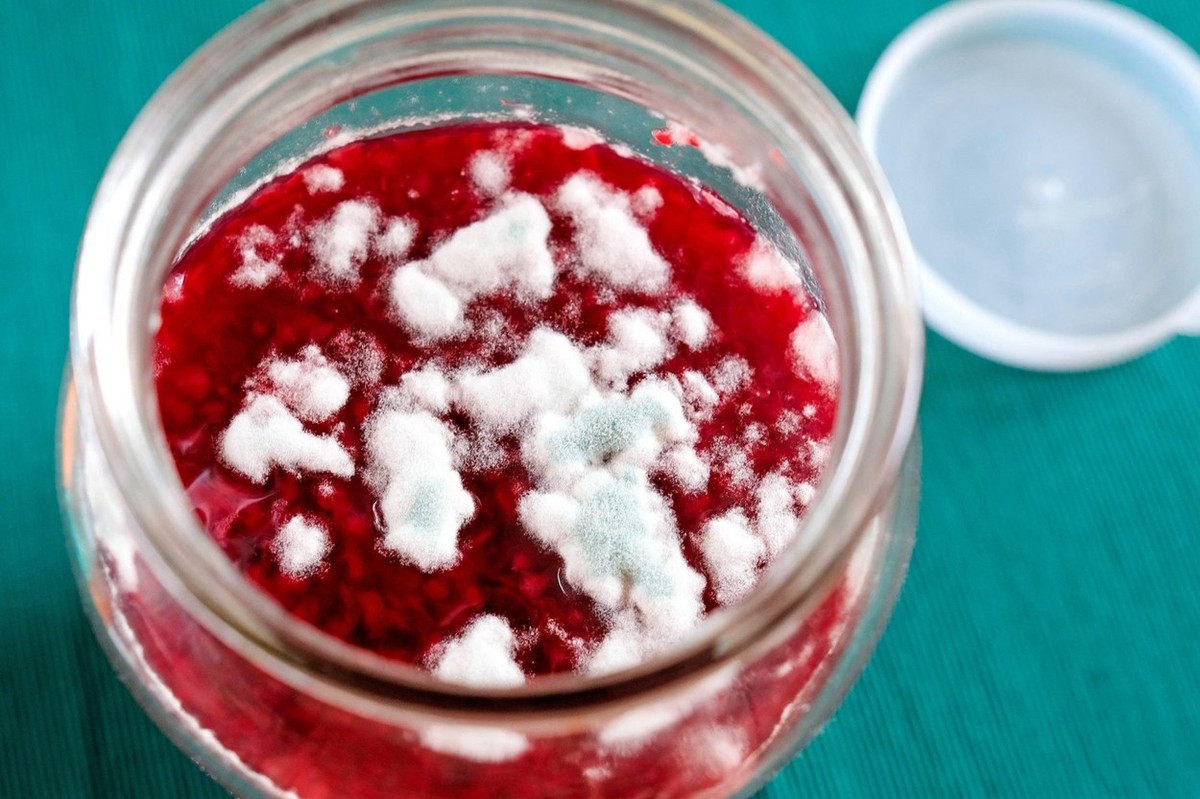 Šta kada se na hrani pojavi plesan - Žena.rs