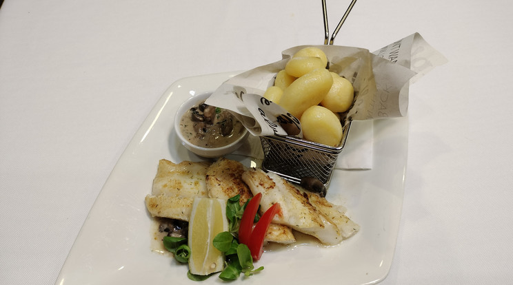 Próbálja ki Fásy Ádám grillezett hal receptjét - Blikk