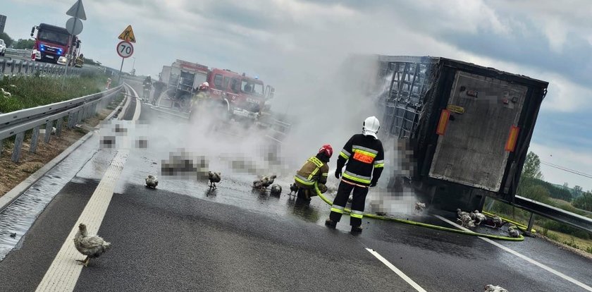 tir - najnowsze artykuły | Fakt