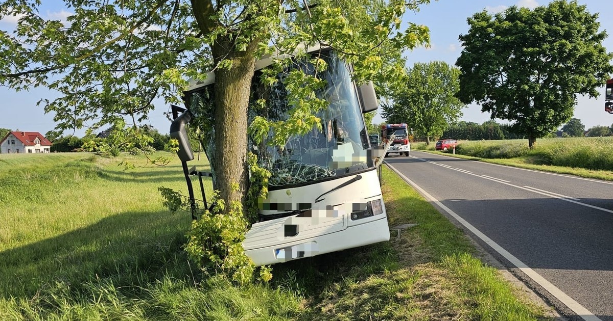 Autobus uderzył w drzewo w Bojadłach. Kierowała pijana kobieta