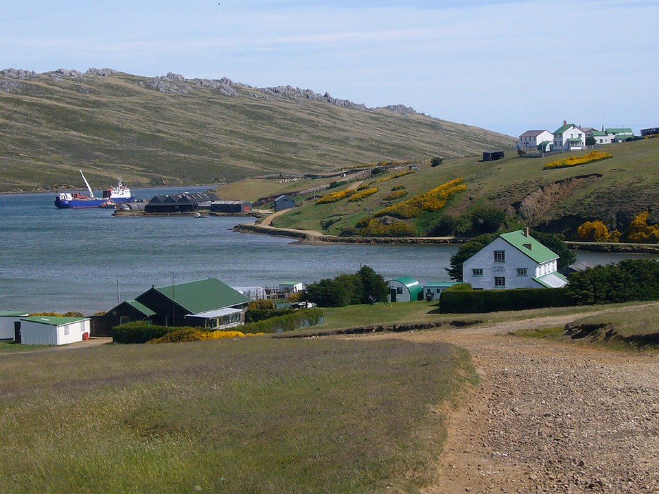 Falklandy - wyspy na krańcu świata - Podróże