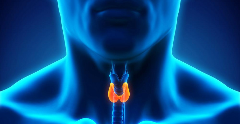 Co się dzieje, gdy tarczyca choruje? Hashimoto – element większej układanki