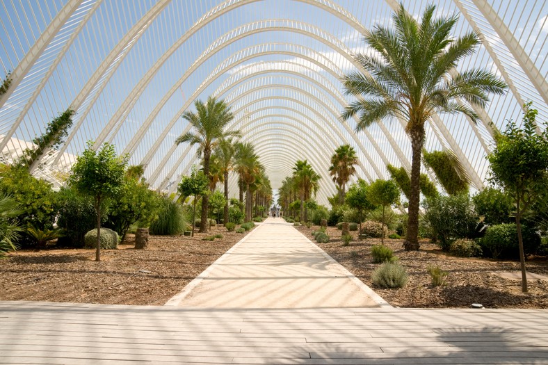 Walencja: atrakcje miasta, co warto zobaczyć? - Podróże