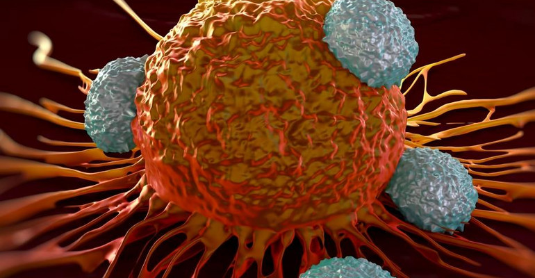 Nasze limfocyty T mogą zabijać raka