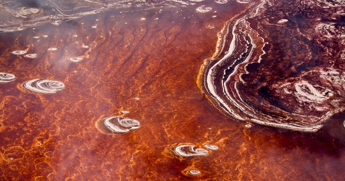 5 amazing facts about the red lake in Tanzania that turns animals into ...