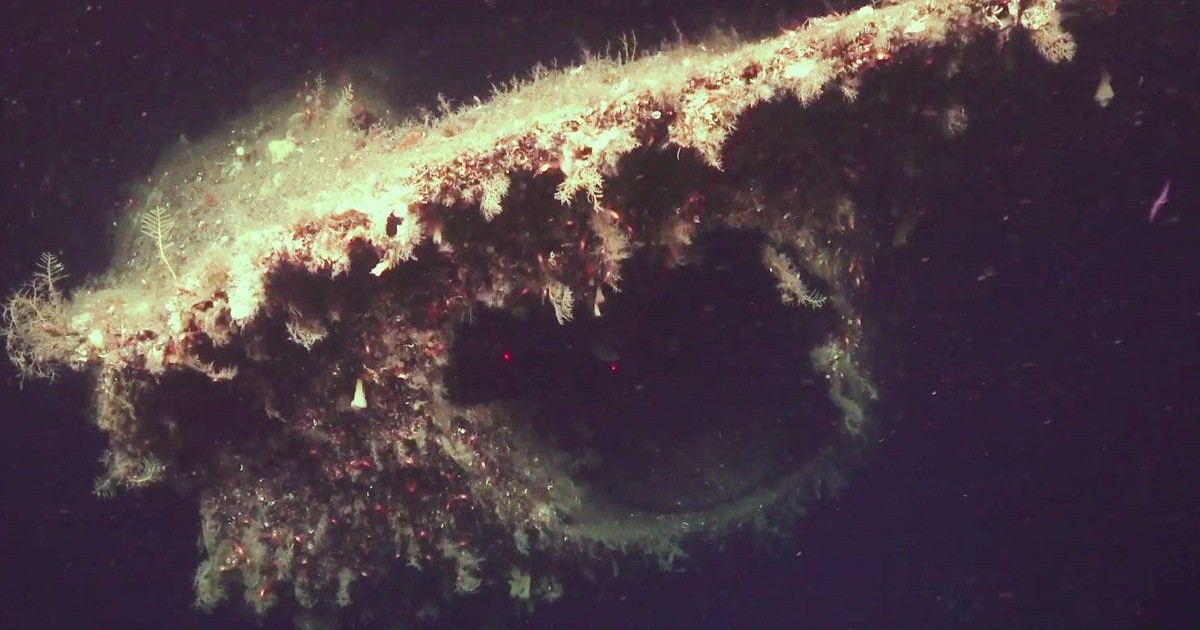 Photos show the recently discovered wreck of a World War II-era ...