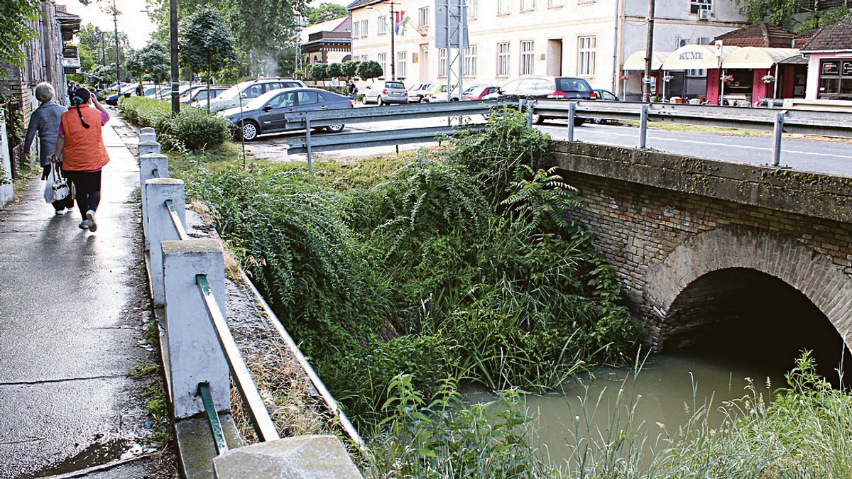 REKA SMRTI TEČE KROZ VOJVODINU Inspekcija zagađivačima dala NEVEROVATNO ...