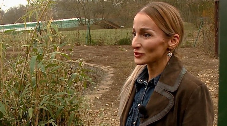 26 évvel idősebb férjével él vidéken a Megatánc egykori győztese - Blikk