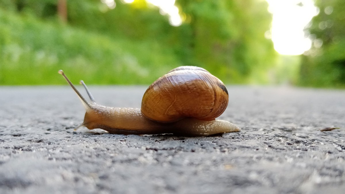 Przyspiesz swojego Windowsa: Jak optymalizować autostart i usługi