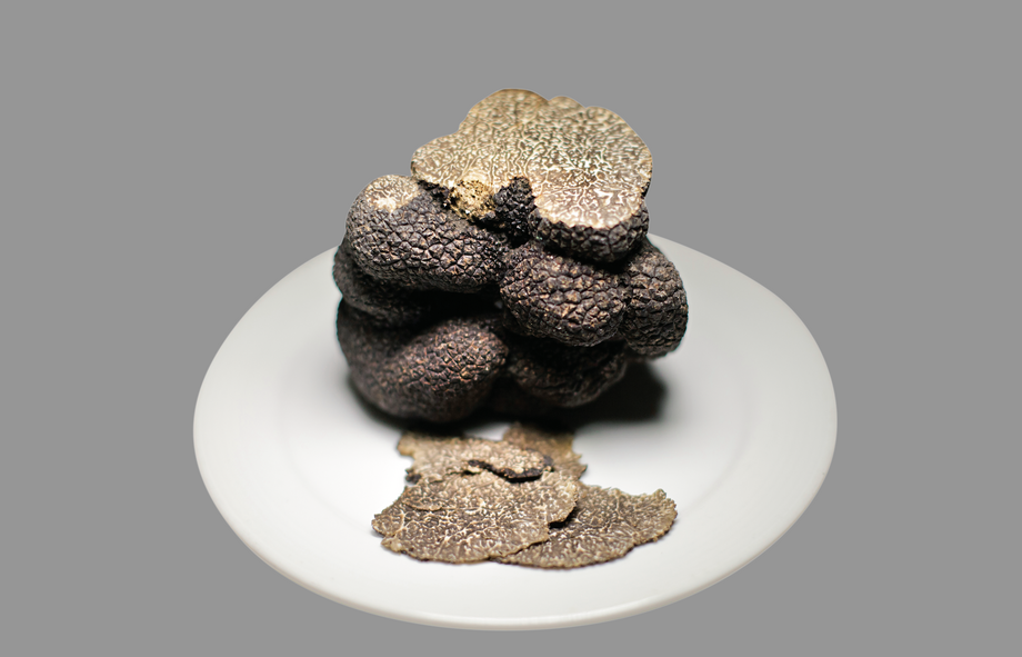Trufle. Plantacje w Polsce i na świecie. Ile są warte trufle? Ile ważą ...