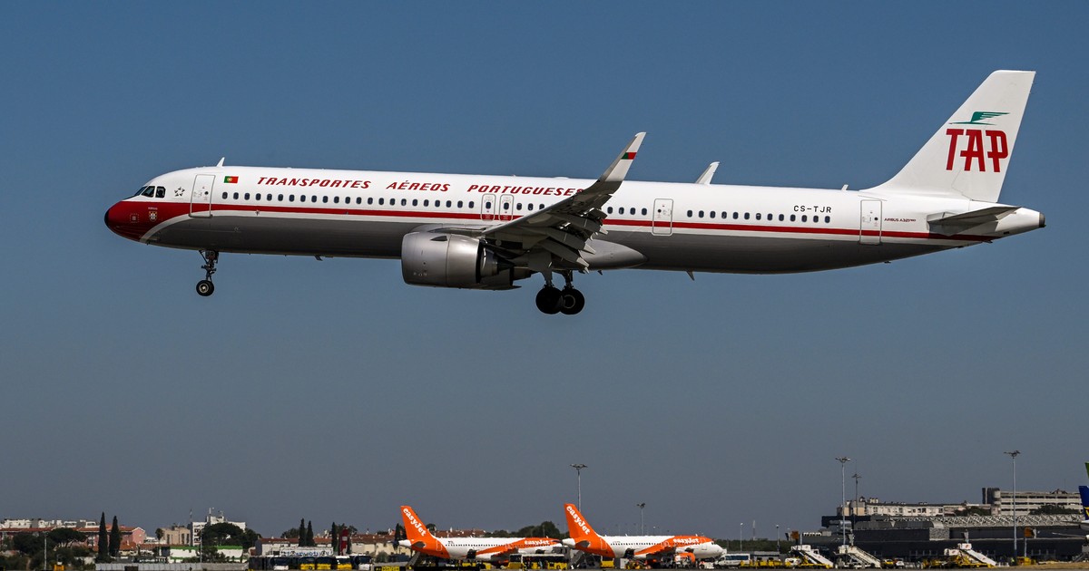 132 hamsters reportedly escaped in the hold of a plane, grounding it ...