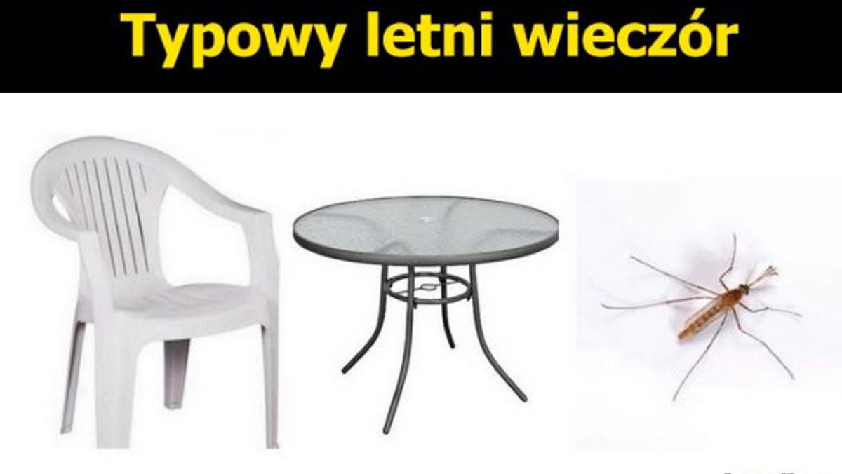 Najzabawniejsze memy o komarach. Padniesz ze śmiechu - Kobieta