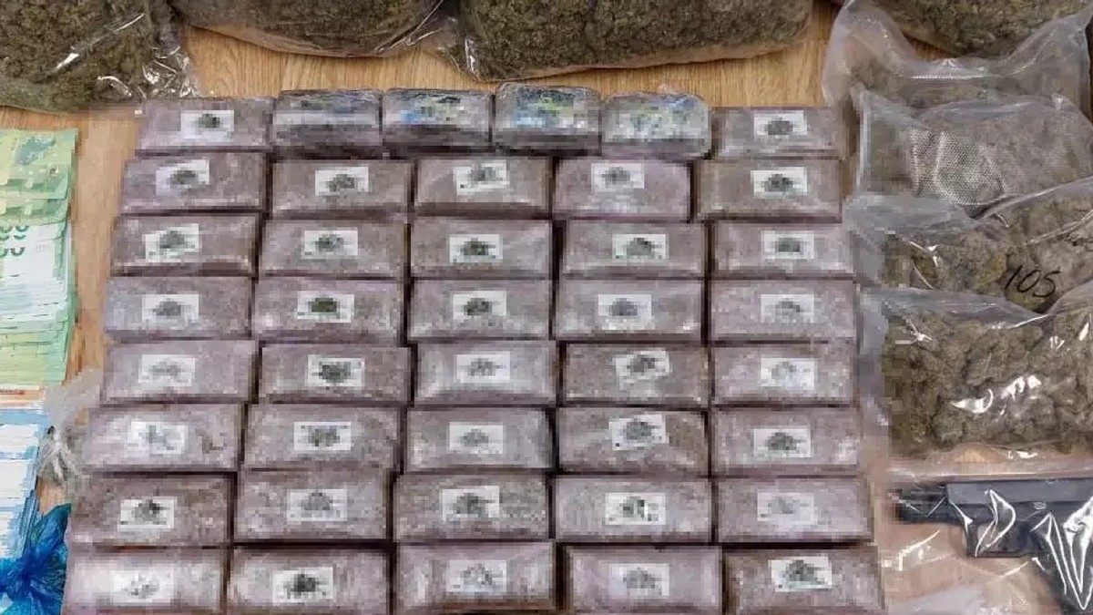 Ko su članovi srpsko-hrvatskog klana uhapšenog zbog droge u Grčkoj - Blic