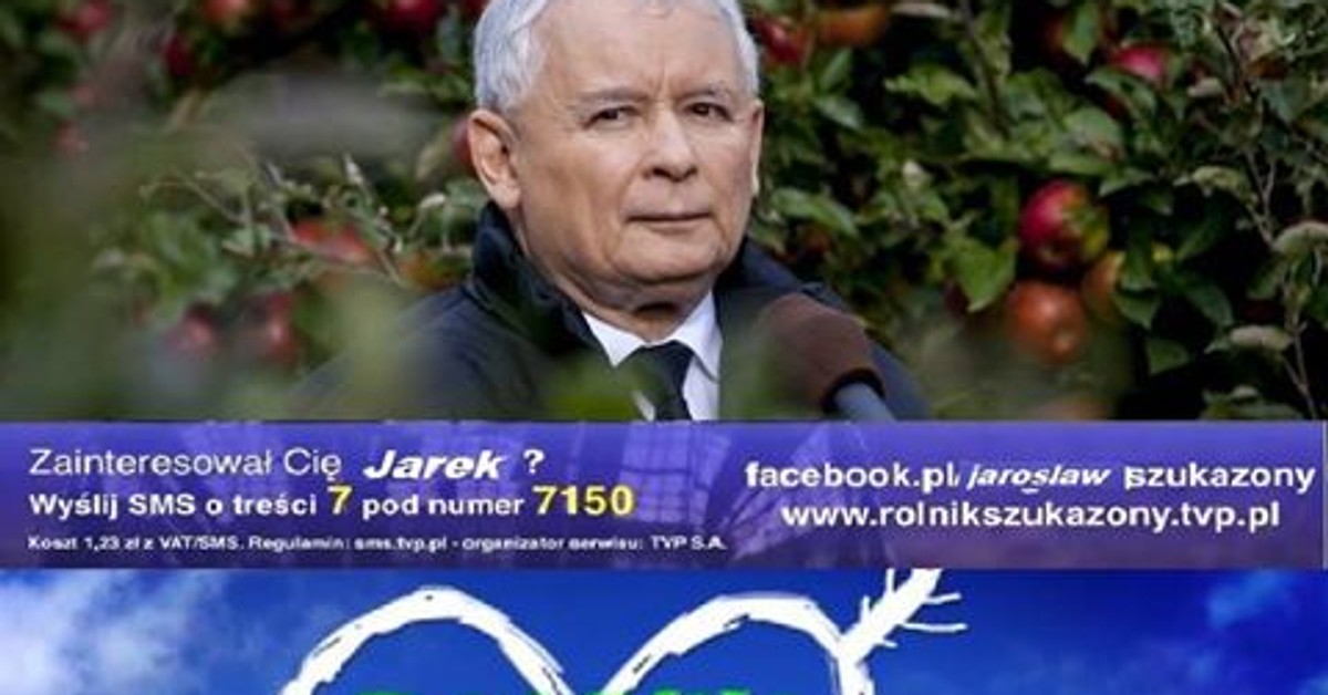 Kaczyński weźmie udział w "Rolnik szuka żony"? MEMY DNIA - Dziennik.pl
