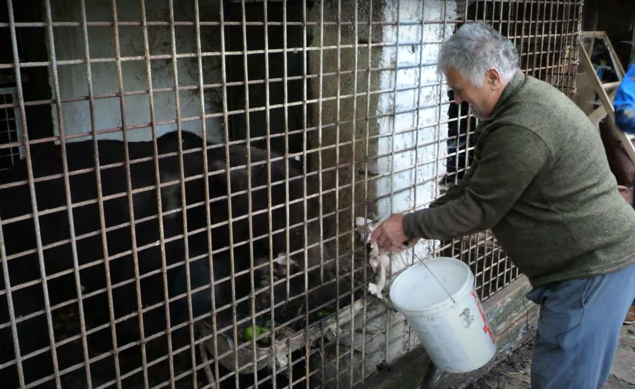 Laku usvojio, a Gvidu kupio: Emin već 17 godina penziju troši na dva ...