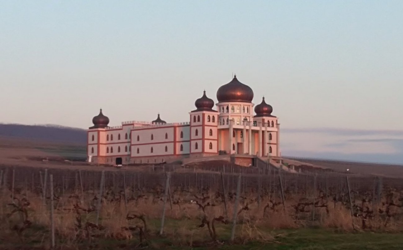 Srpski biznismen sagradio sebi Aladinov dvorac usred vinograda koji ...