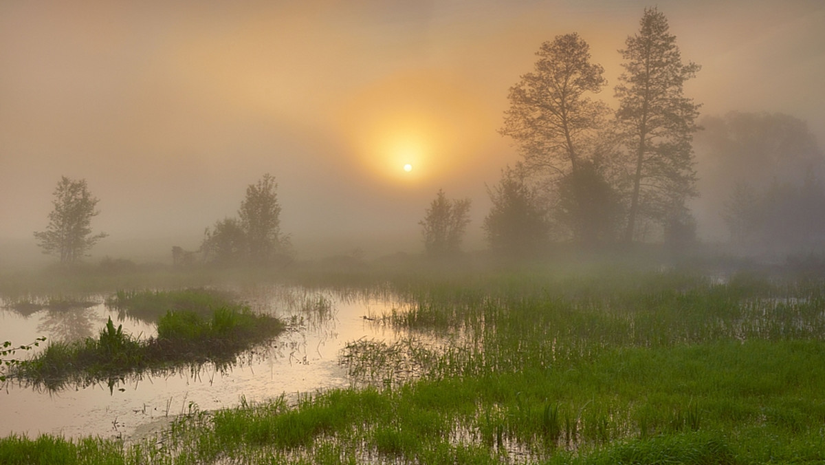 Magiczne Podlasie - Podróże