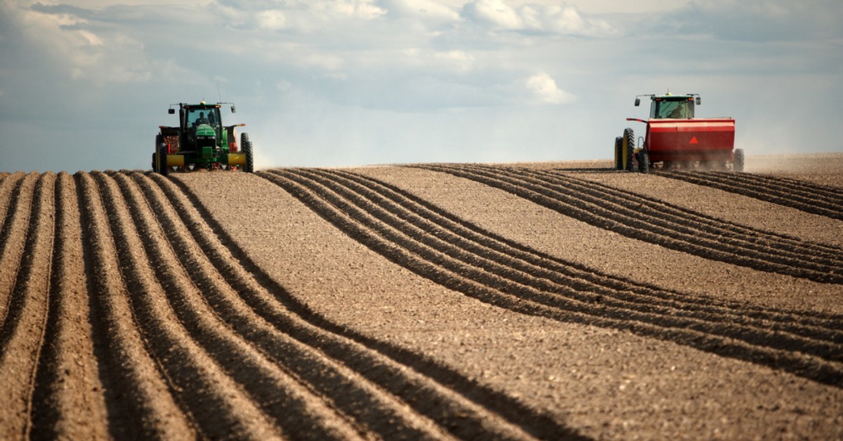 Ukraina chce wykarmić cały świat. Czy kraj stanie się rolniczą potęgą ...