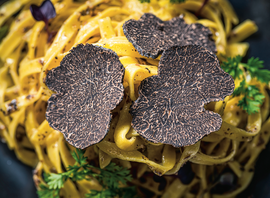 Trufle. Plantacje w Polsce i na świecie. Ile są warte trufle? Ile ważą ...