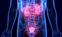 Jak poprawić pracę nerek? Siedem prostych nawyków do wprowadzenia od dziś