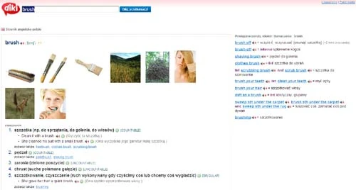 Diki.pl: słownik, który uczy języka