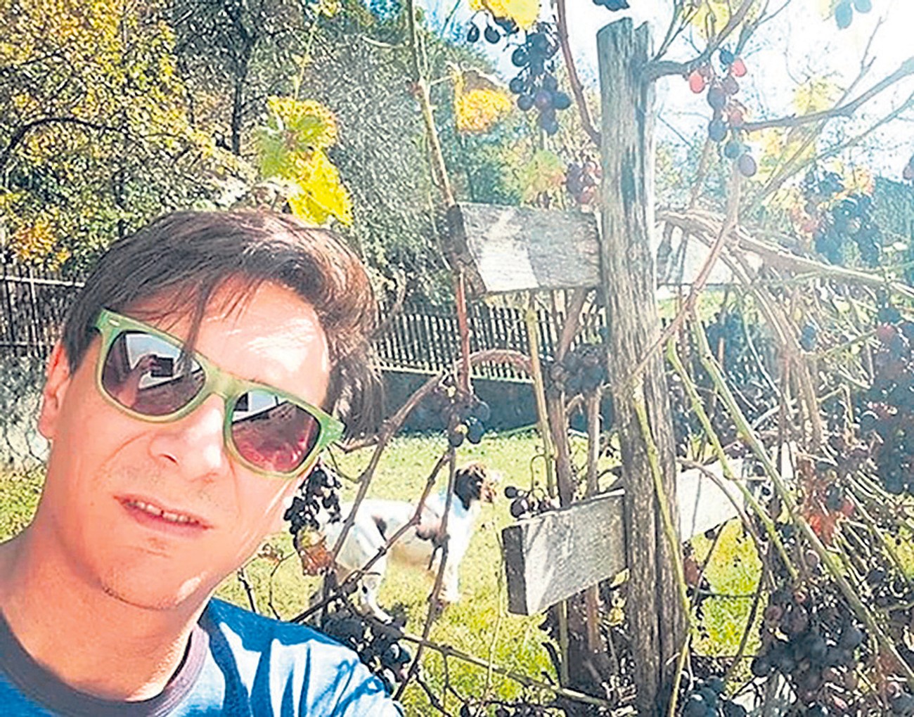 bane tomasevic glumac visnje imanje - Blic