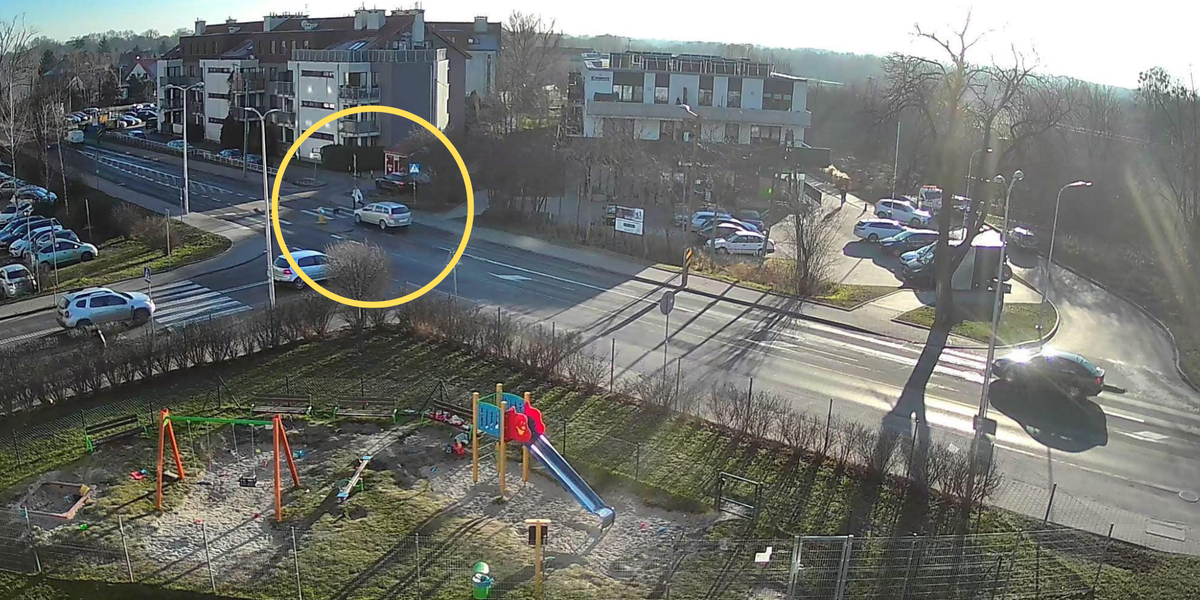 Rozjechał psa 14-latki na jej oczach i uciekł. Sprawcy szuka policja ...