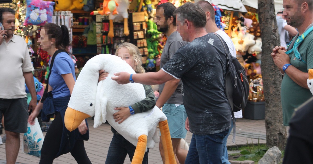 Gęsie szaleństwo w górskich kurortach. Dlaczego pluszowy ptak to hit ...