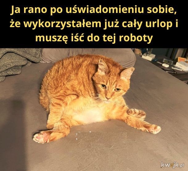 Najlepsze memy o urlopie. Rozbawią cię do łez! - Kobieta